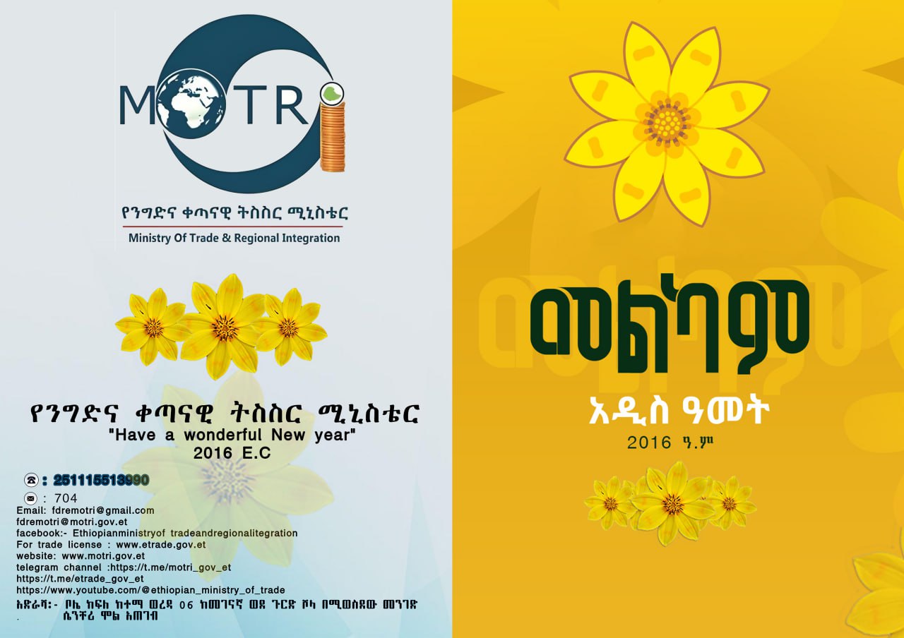 Welcome to Motri | Motri